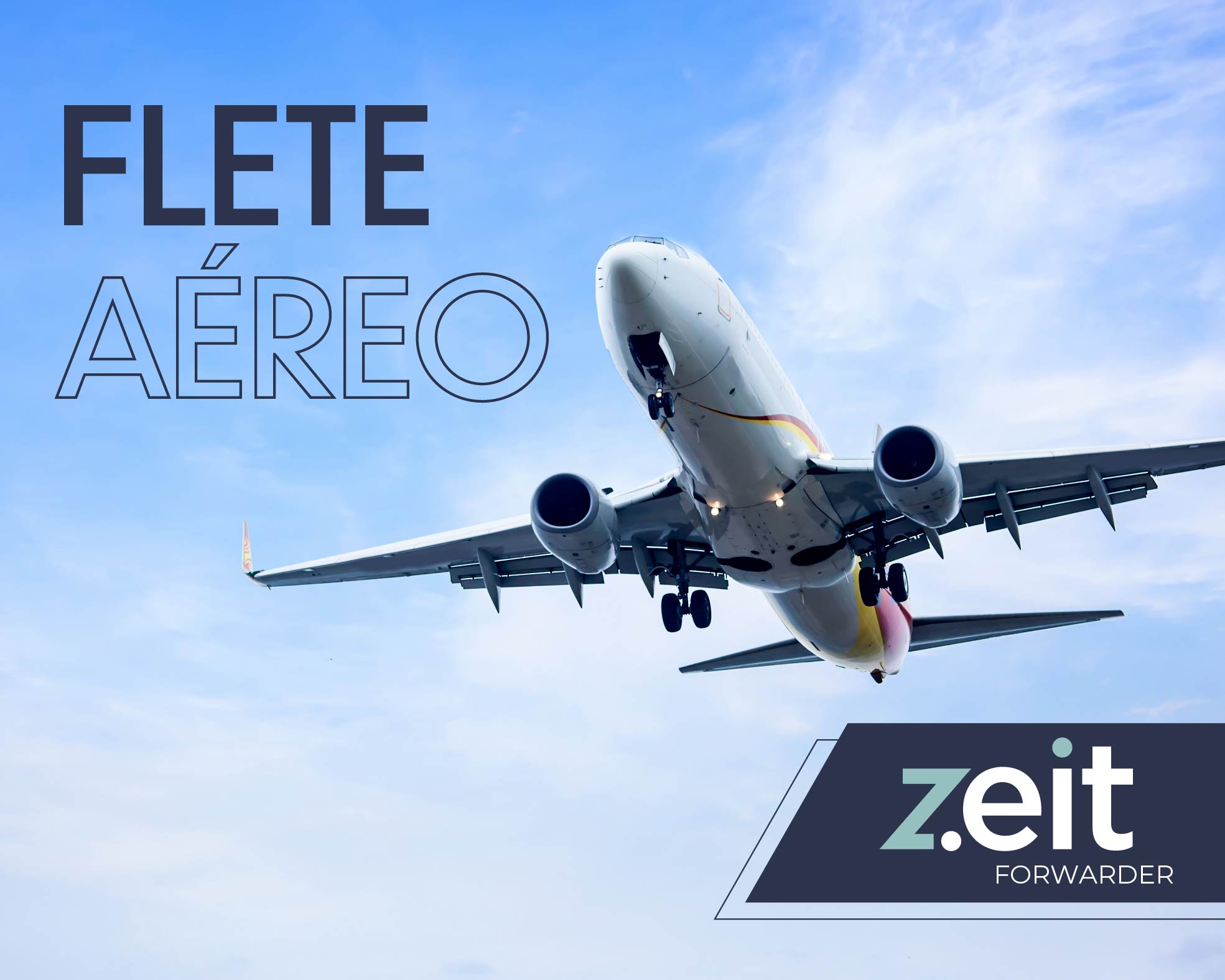 FLETE AÉREO: TRANSPORTE DE CARGA Servicios, Clasificaciones y ...